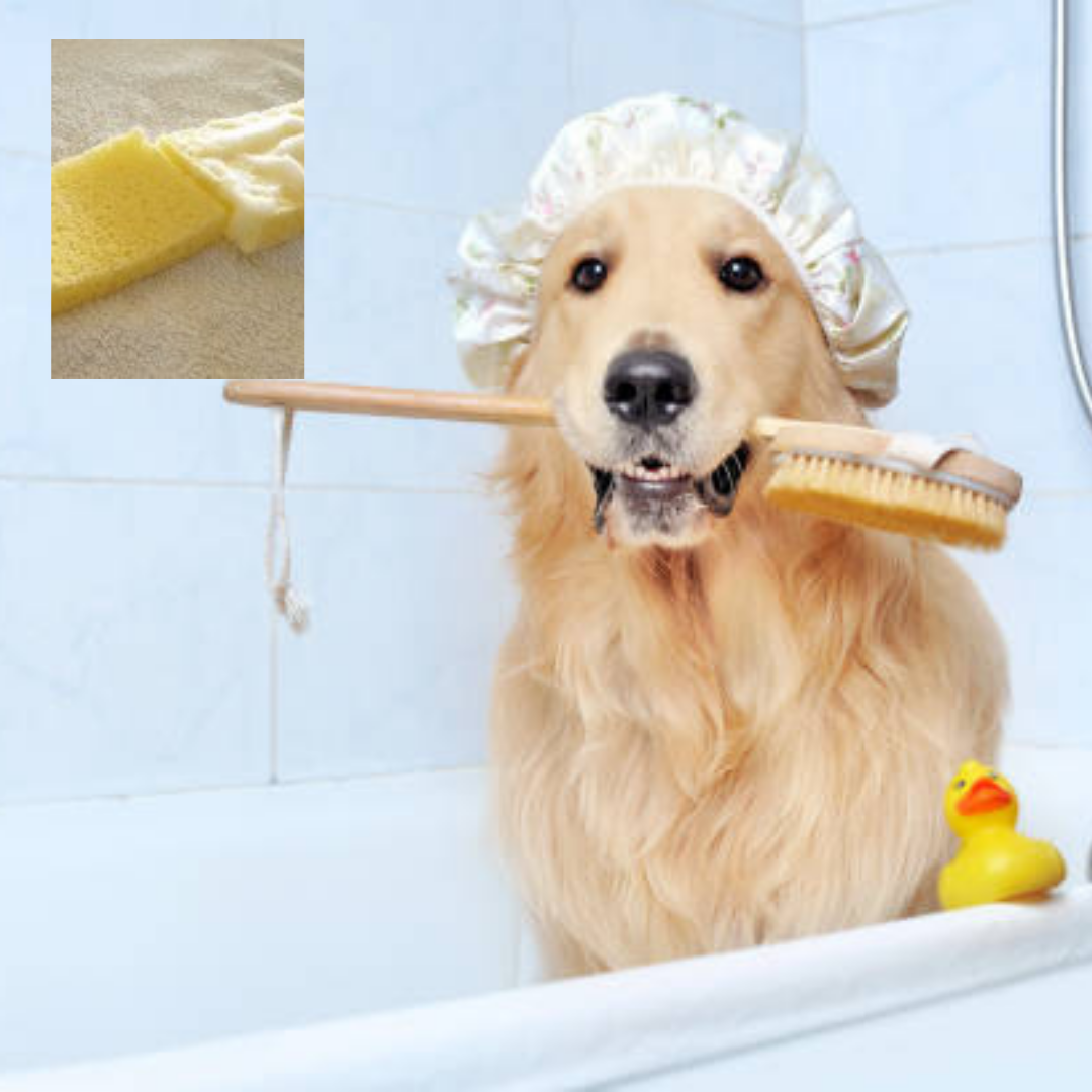 Foam2Home - Foam Cut To Size - Ireland's Leading Foam Supplier